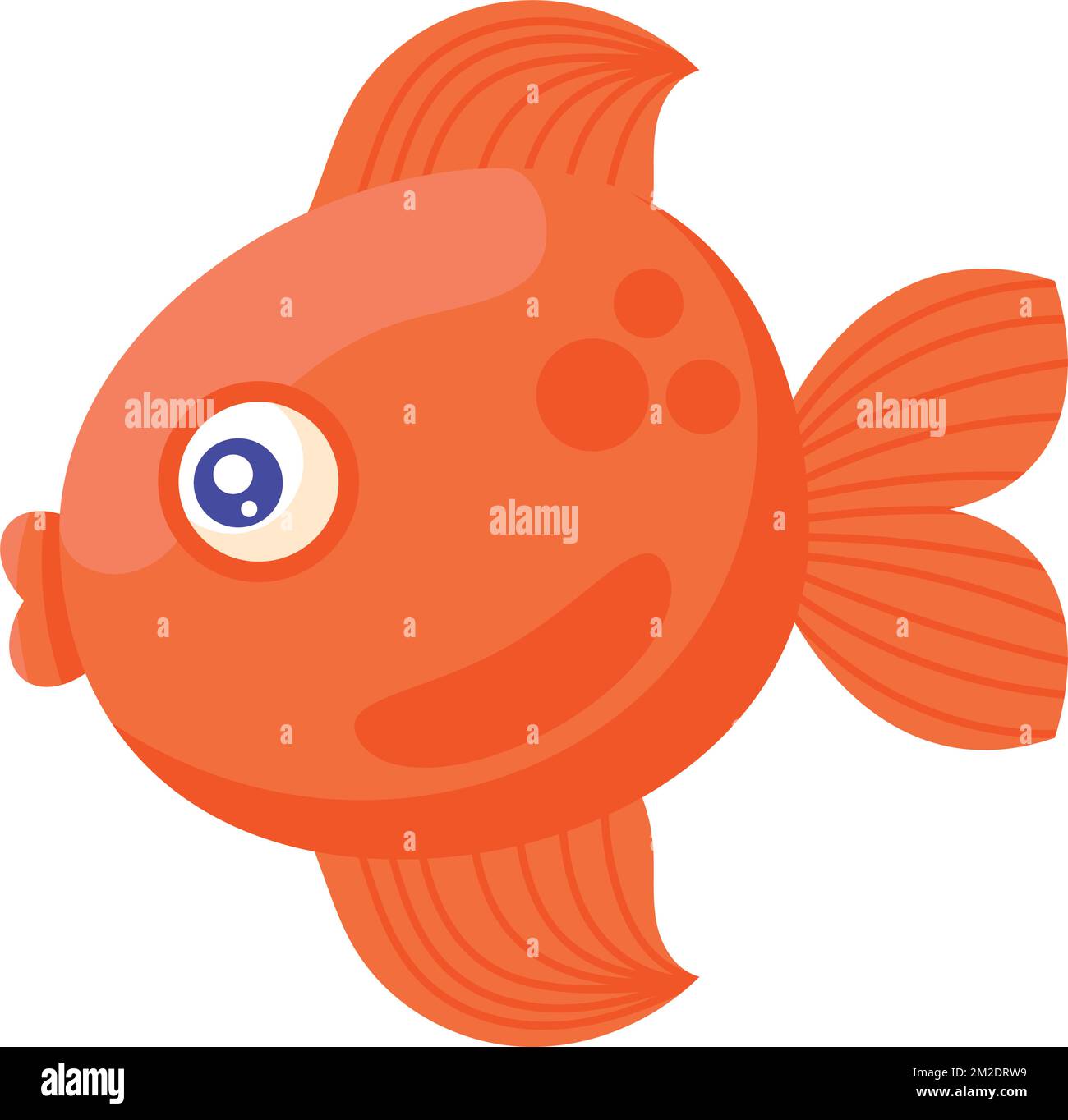 exotic gold fish decorative animal Stock Vector Image & Art - Alamy