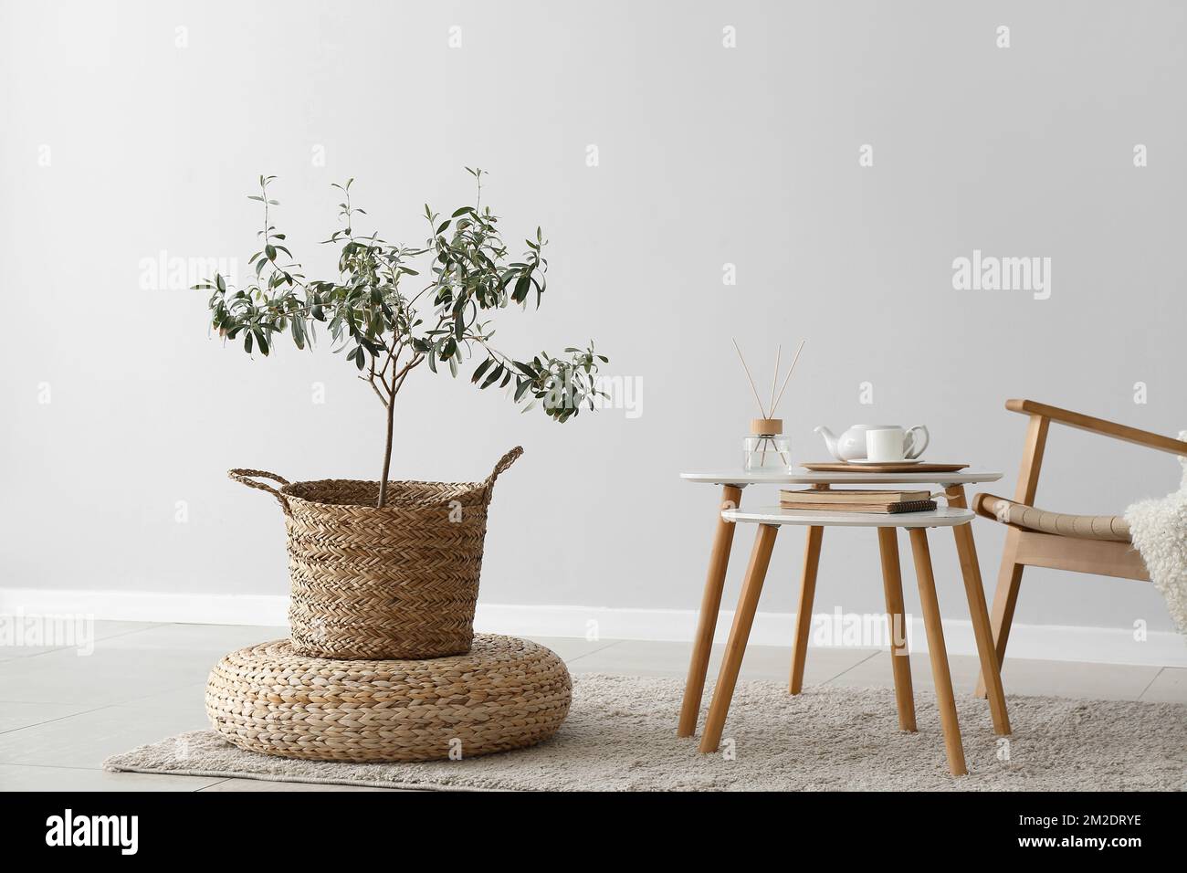 Interior of light living room with olive tree, tables and armchair ...