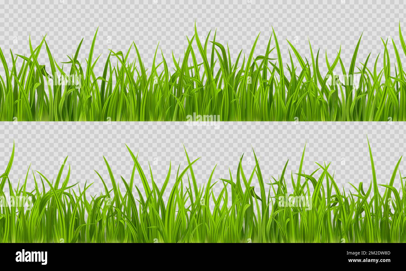 Seamless grass, realistic green lawn horizontal pattern isolated on ...