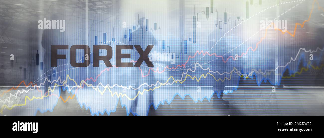 Forex Trading Traders. Financial Investment concept. Website Banner ...