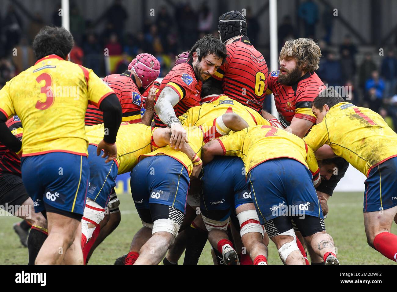 Illustration picture shows the game between the Black Devils, Belgian ...