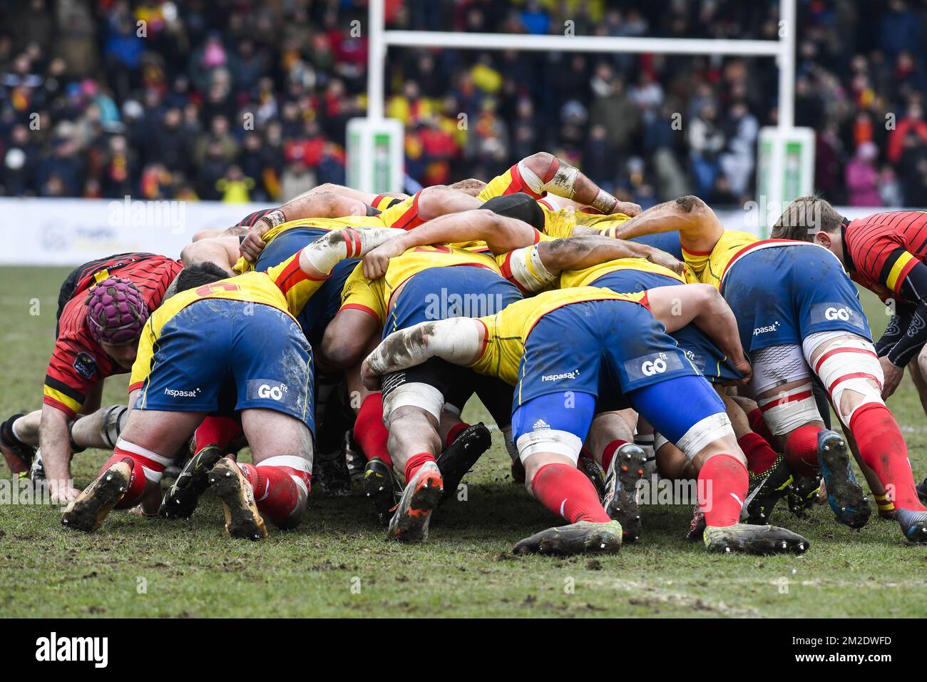 Illustration picture shows the game between the Black Devils, Belgian ...