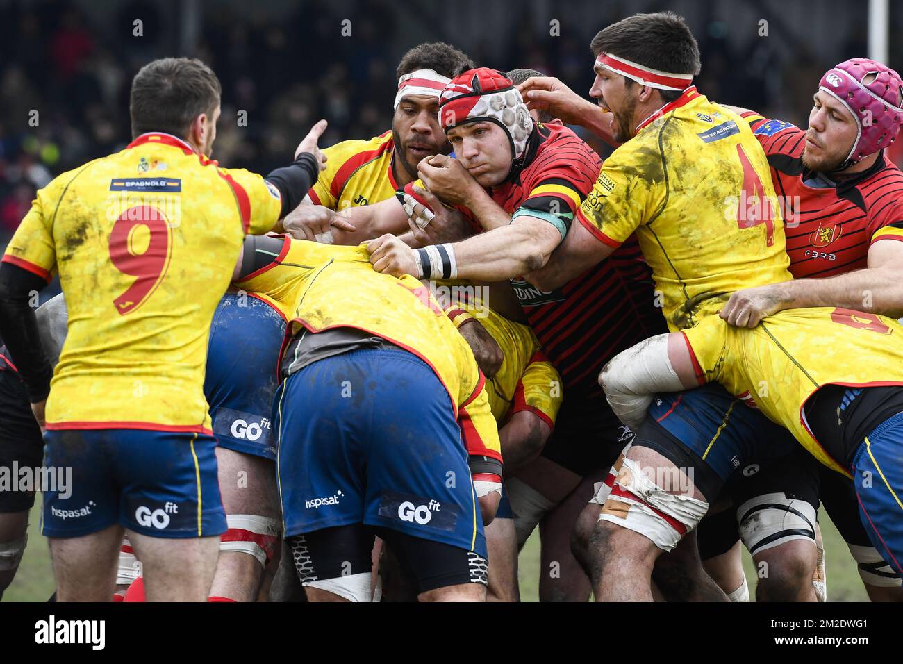 Illustration picture shows the game between the Black Devils, Belgian ...