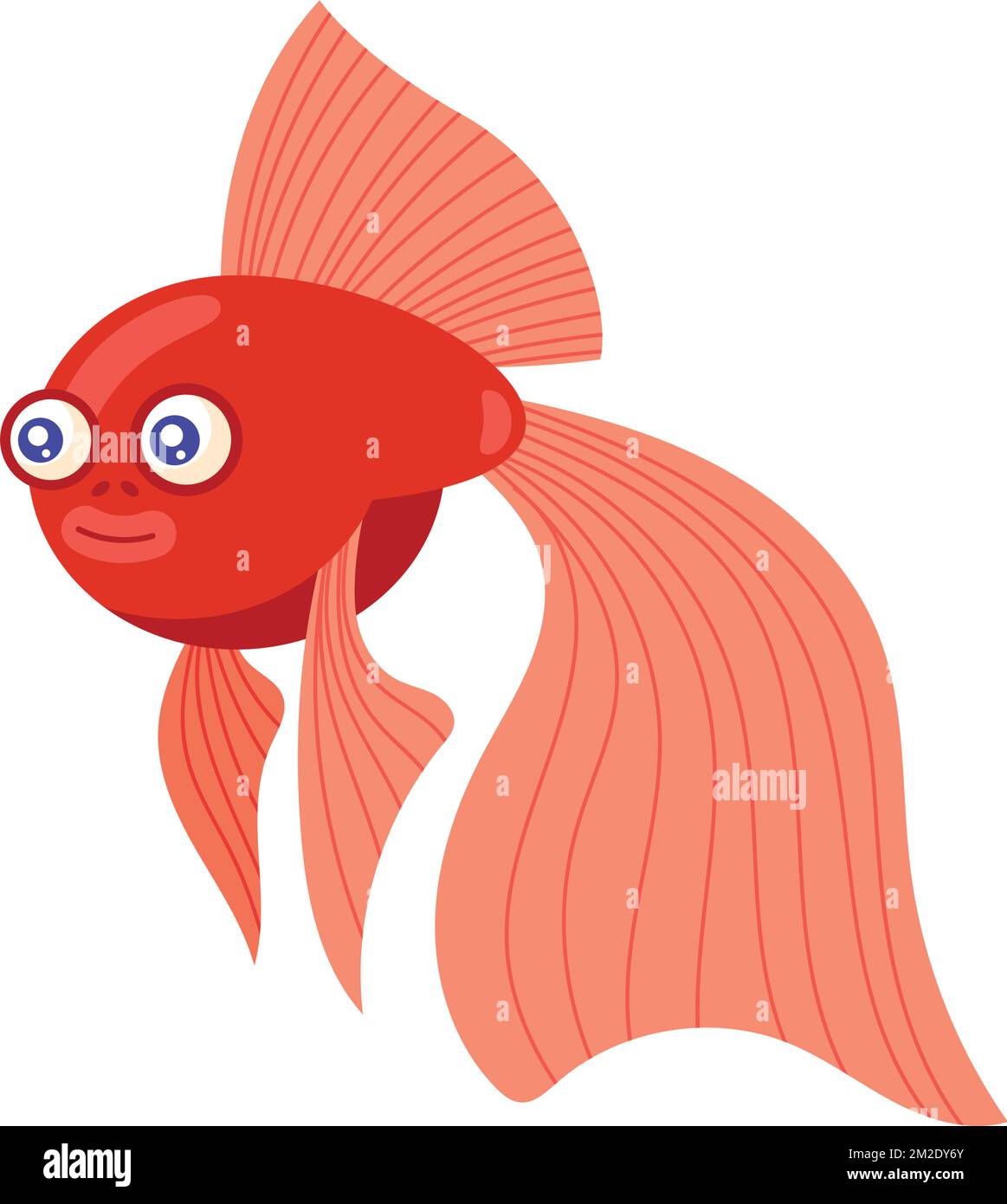 Ballerina fish hi-res stock photography and images - Alamy