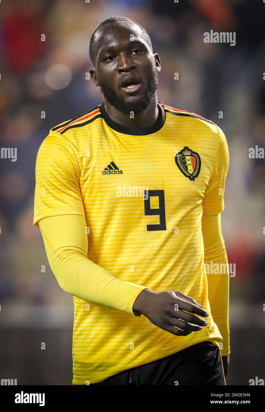 Belgium's Romelu Lukaku pictured during a friendly game between the Red ...