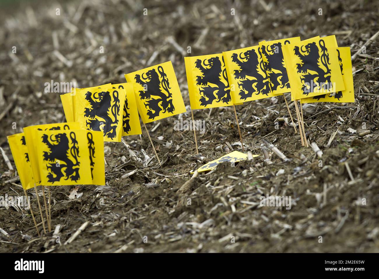 Illustration picture shows Flemish flags at the 102nd edition of the ...
