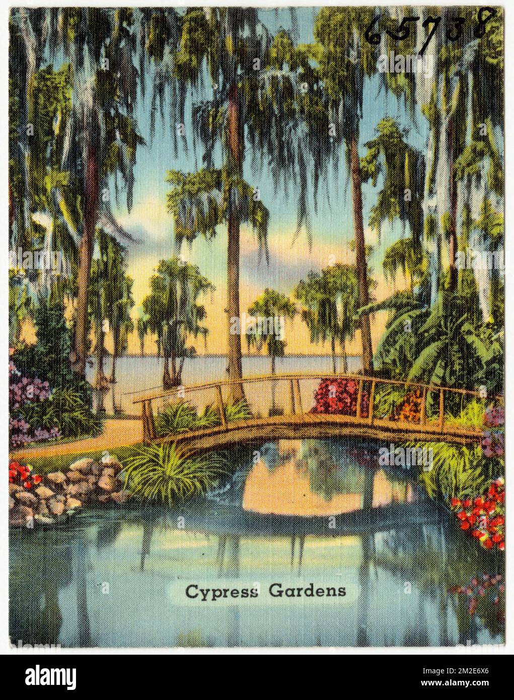 Cypress gardens , Tichnor Brothers Collection, postcards of the United ...