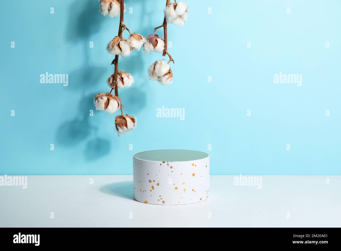 Podium for beauty product promotion, spring cotton twig on light blue ...