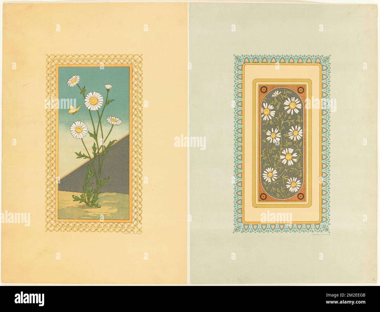 Hand drawn daisies hi-res stock photography and images - Alamy