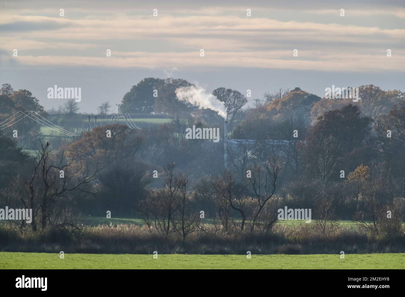 Rural energy. Winter at Slimbridge, The Wildfowl and Wetlands Trust ...