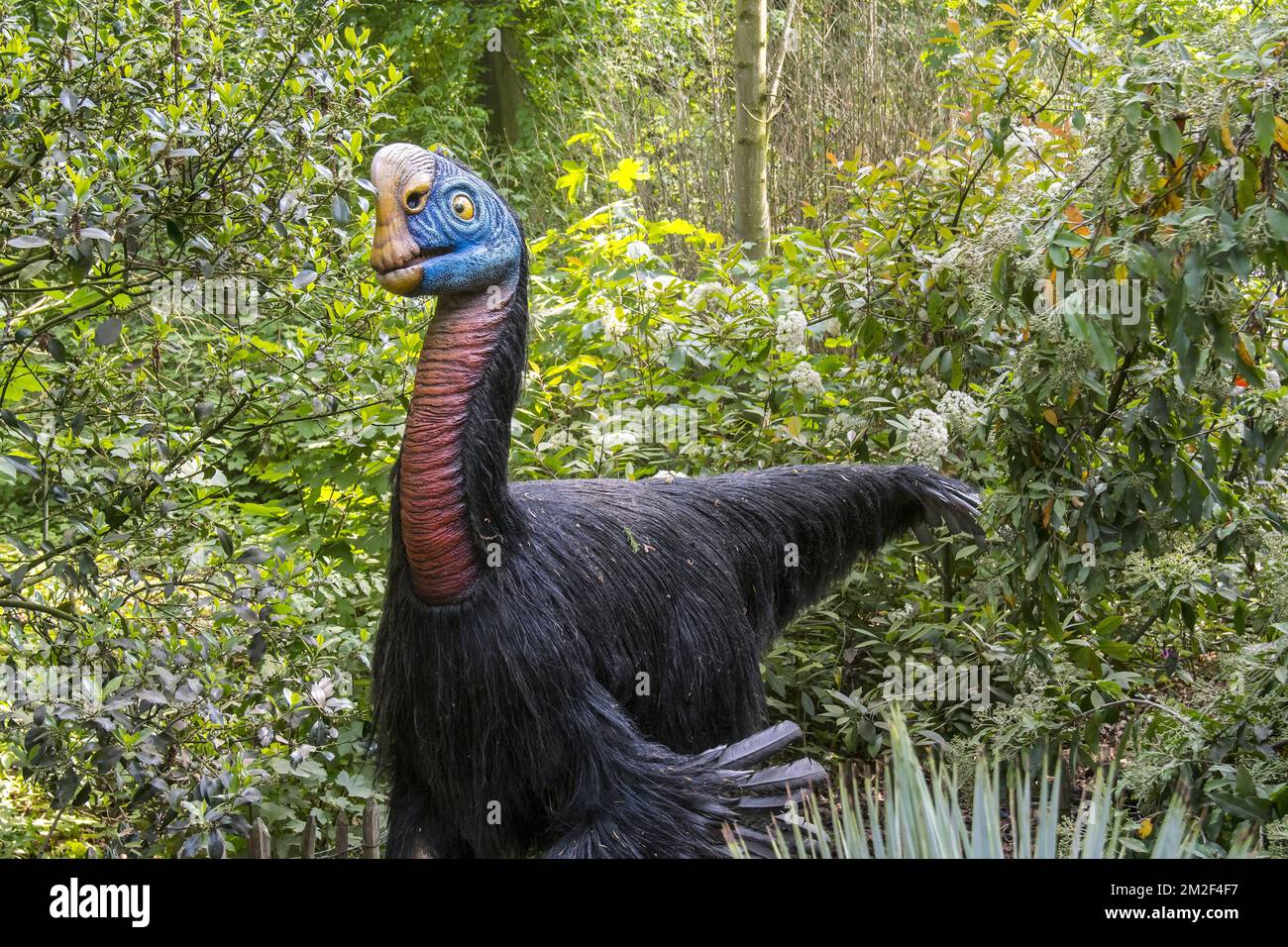 Realistic lifesize replica of Citipati, oviraptorid theropod dinosaur from the Late Cretaceous ...