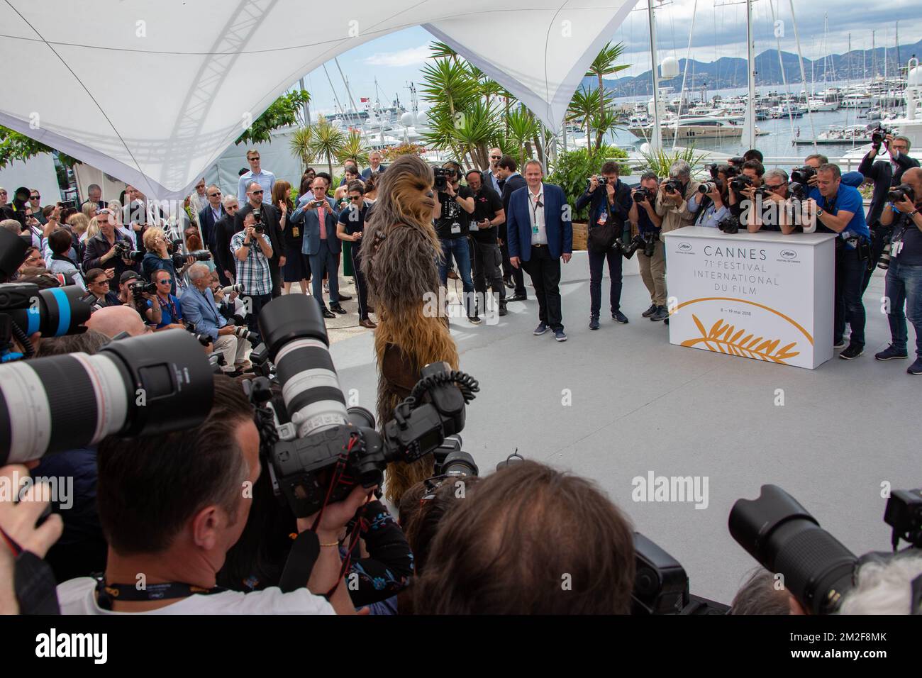 Chewbacca pose at the photocall for 'Solo: A Star Wars Story' during ...