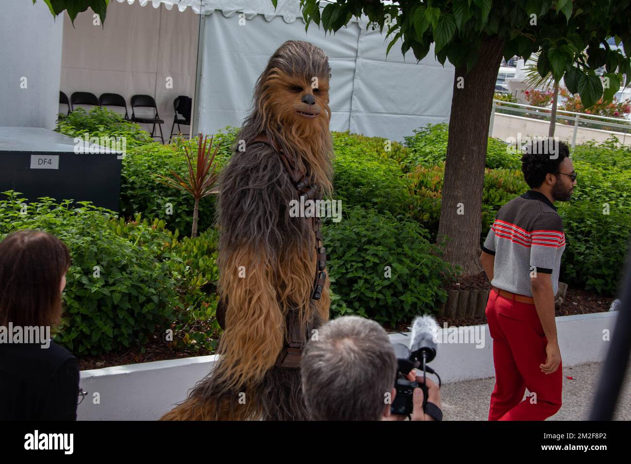 Chewbacca attends the photocall for 'Solo: A Star Wars Story' during ...
