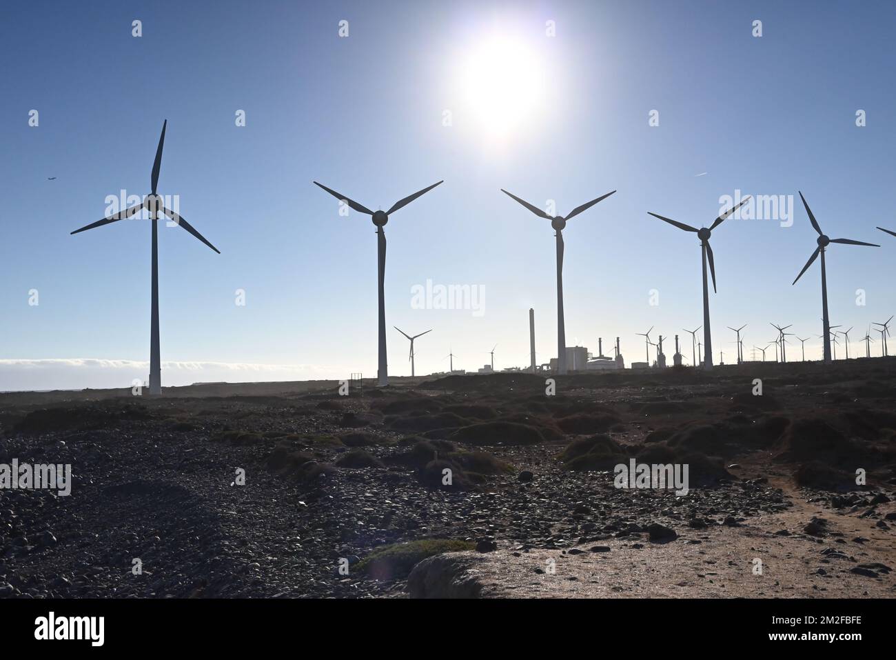 The wind turbines on a windmill factory on a sunny day - the concept of ...