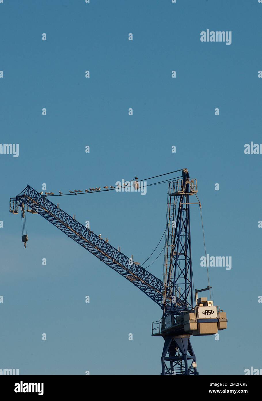 Construction crane | Grue de chantier 26/12/2016 Stock Photo - Alamy