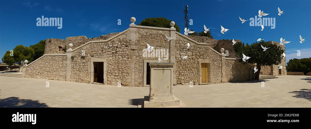 Oiseau colombe hi-res stock photography and images - Alamy