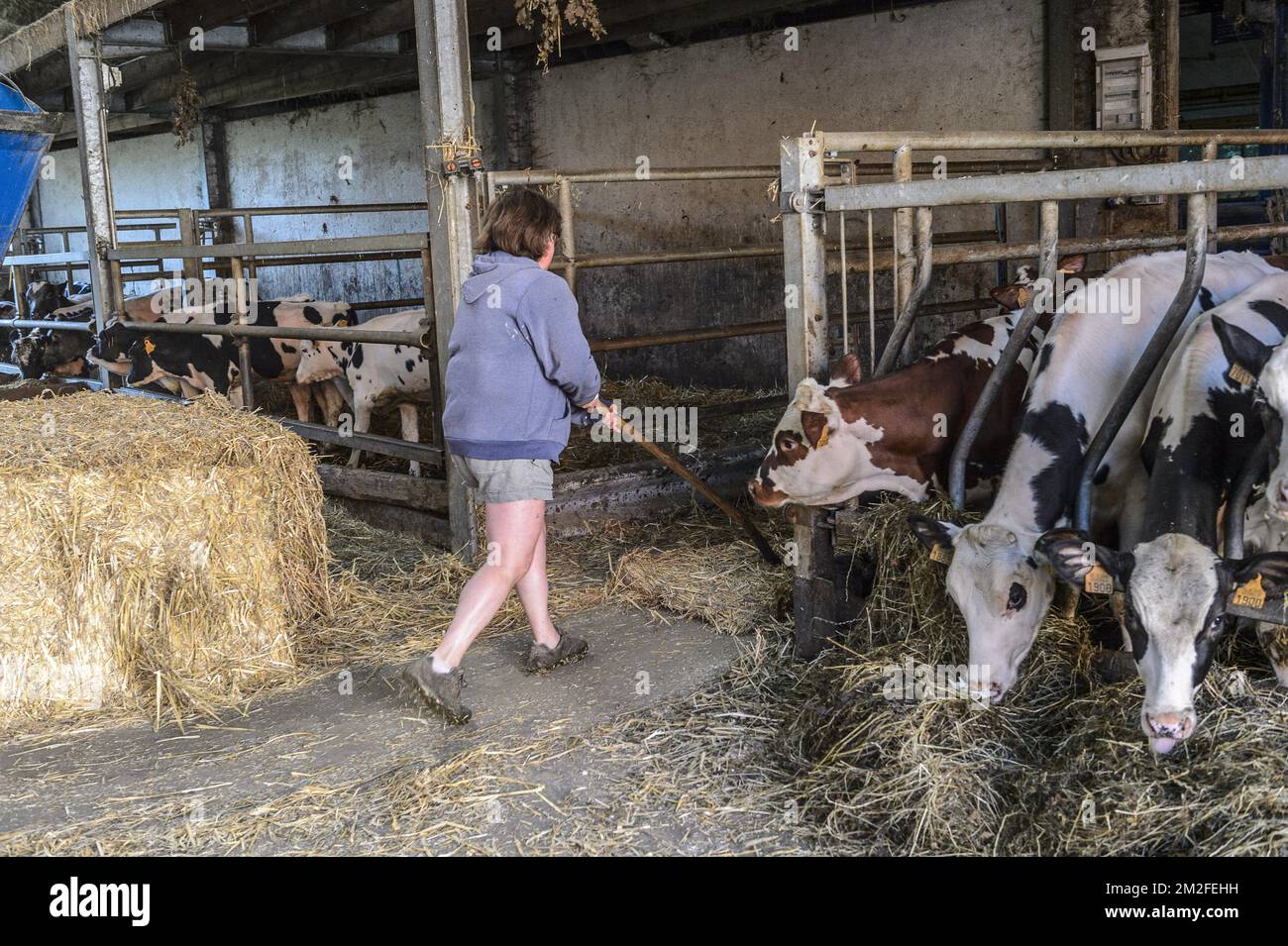 Sa vache hi-res stock photography and images - Alamy