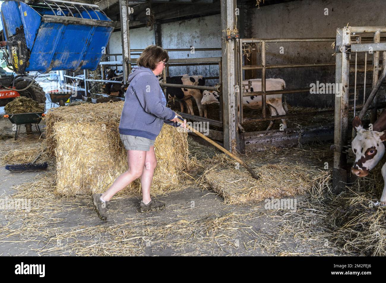 Sa vache hi-res stock photography and images - Alamy