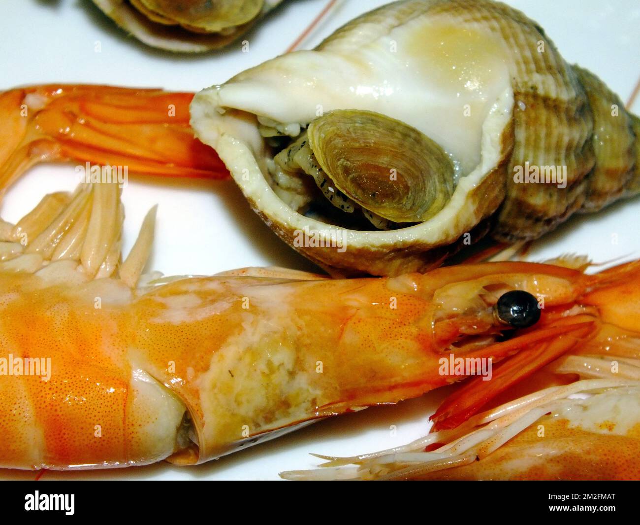 Seafood platter | Plateau de fruits de mer 29/05/2018 Stock Photo - Alamy