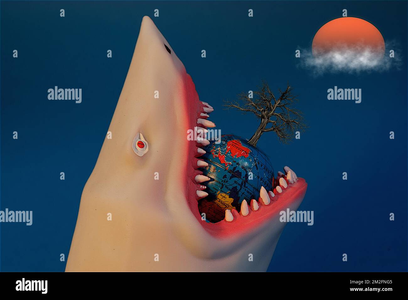 The revenge of the shark | La vengeance du requin 30/05/2018 Stock ...