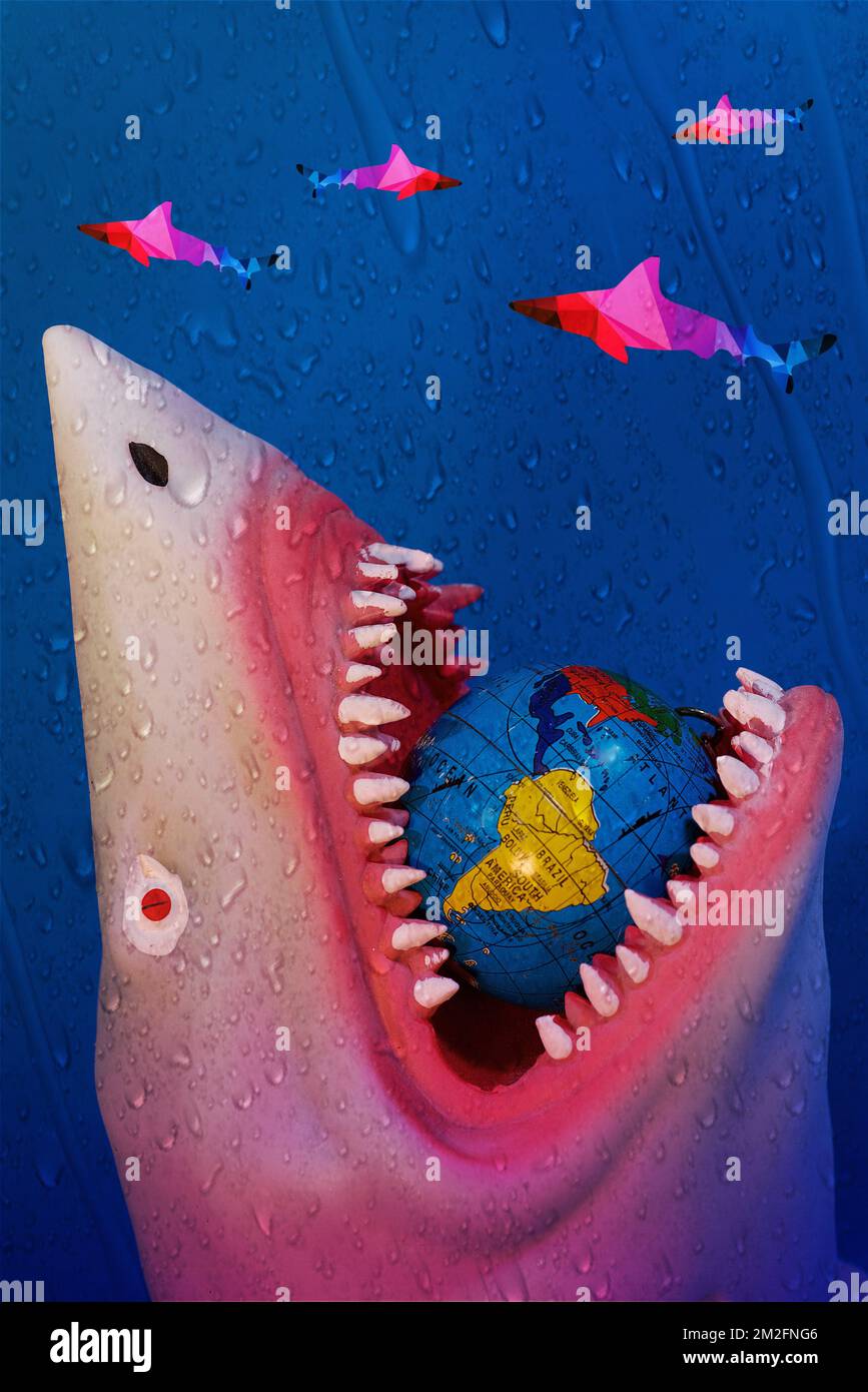 The revenge of the shark | La vengeance du requin 30/05/2018 Stock ...