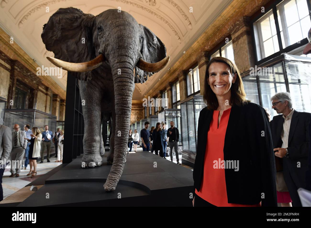 Minister of Budget Sophie Wilmes pictured in front of a taxidermy ...