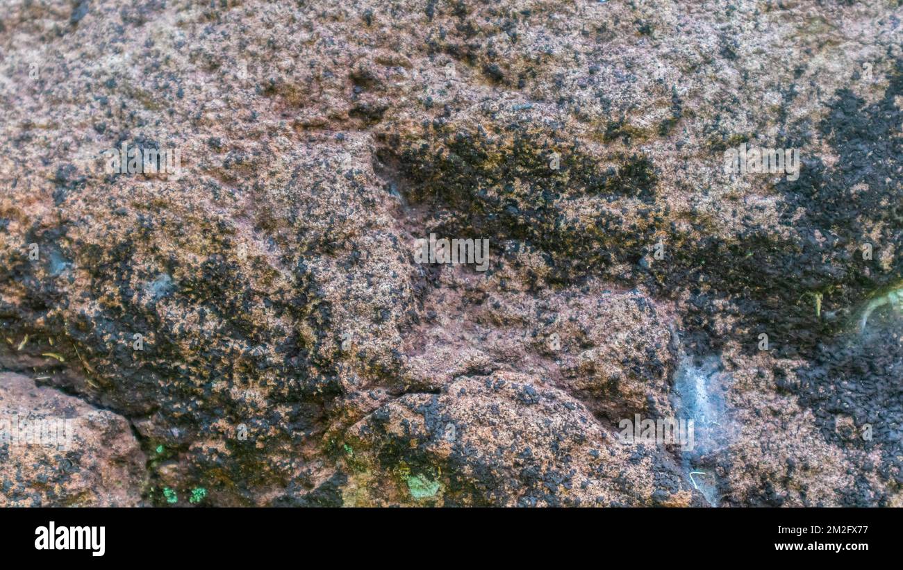 amazing stone texture as background Stock Photo - Alamy