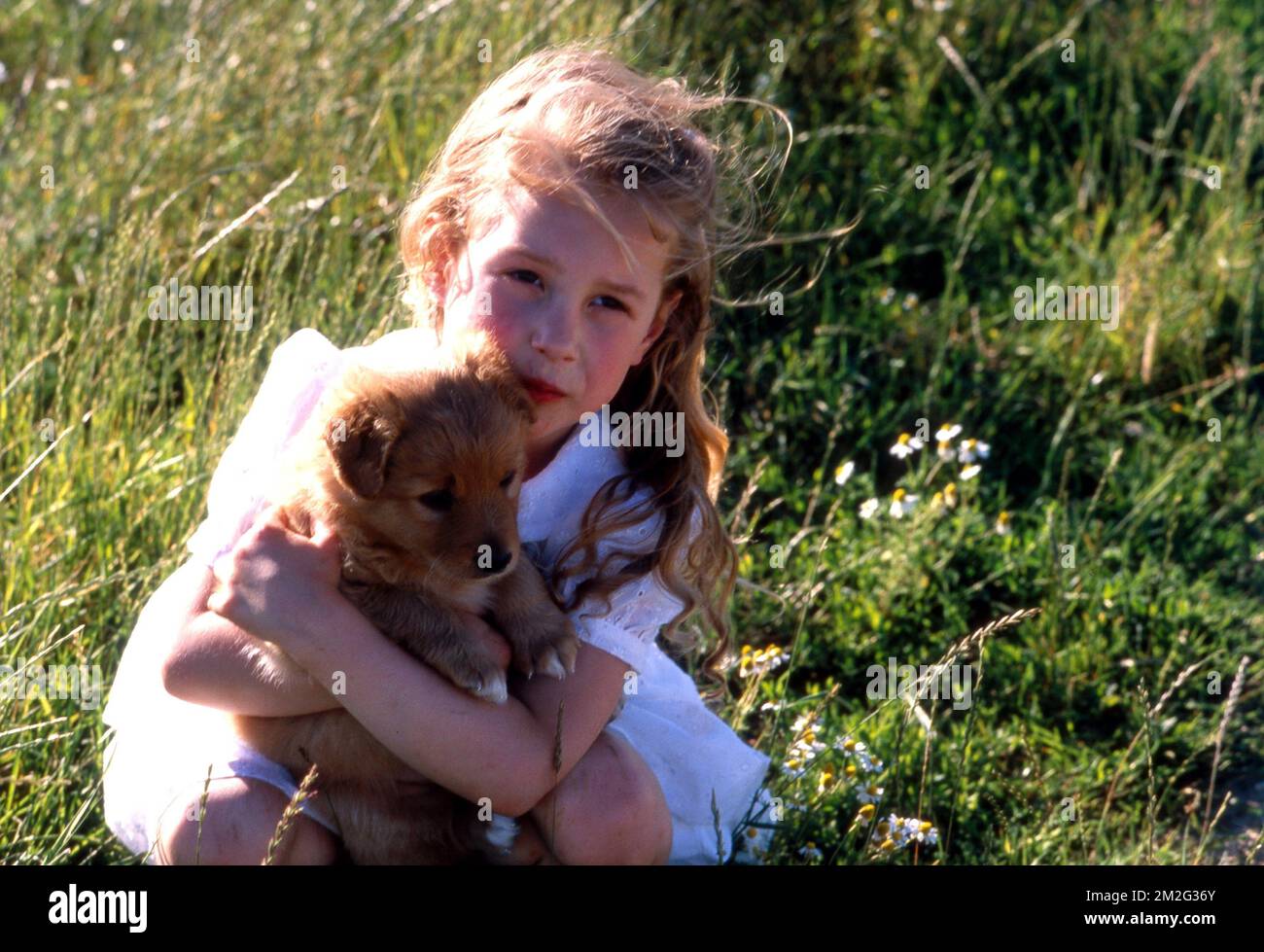 Chien humain hi-res stock photography and images - Alamy