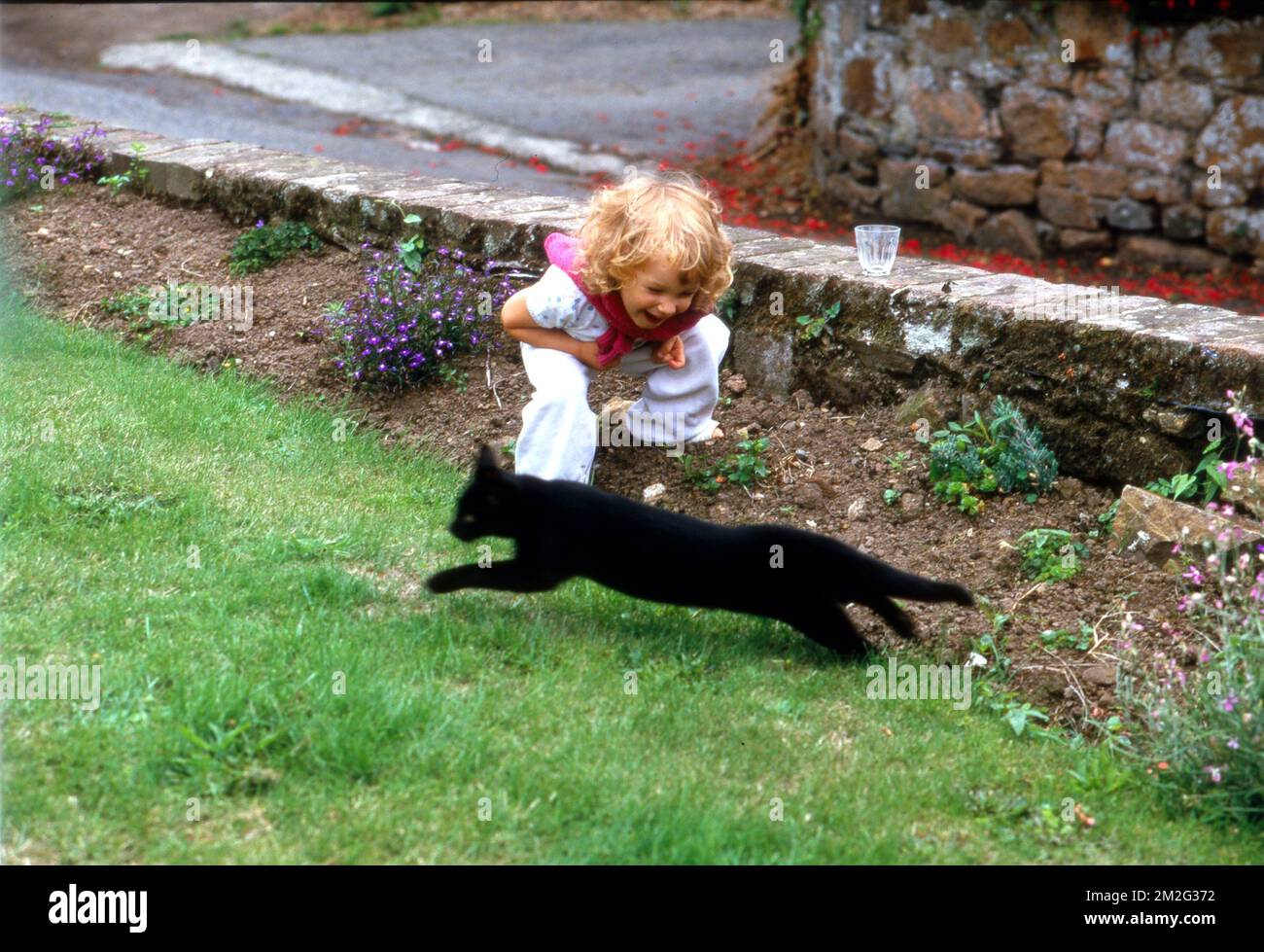 Animaux enfant hi-res stock photography and images - Alamy