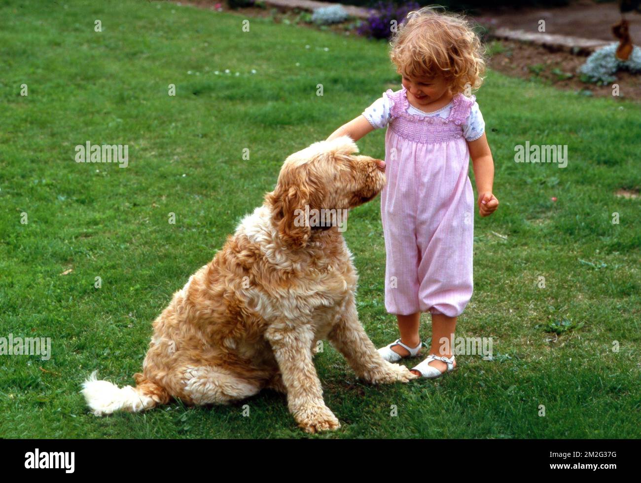 Chien humain hi-res stock photography and images - Alamy
