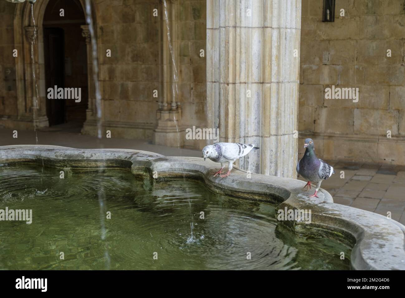 The monastry of Santa maria de Vitoria is unesco heritage was erected ...
