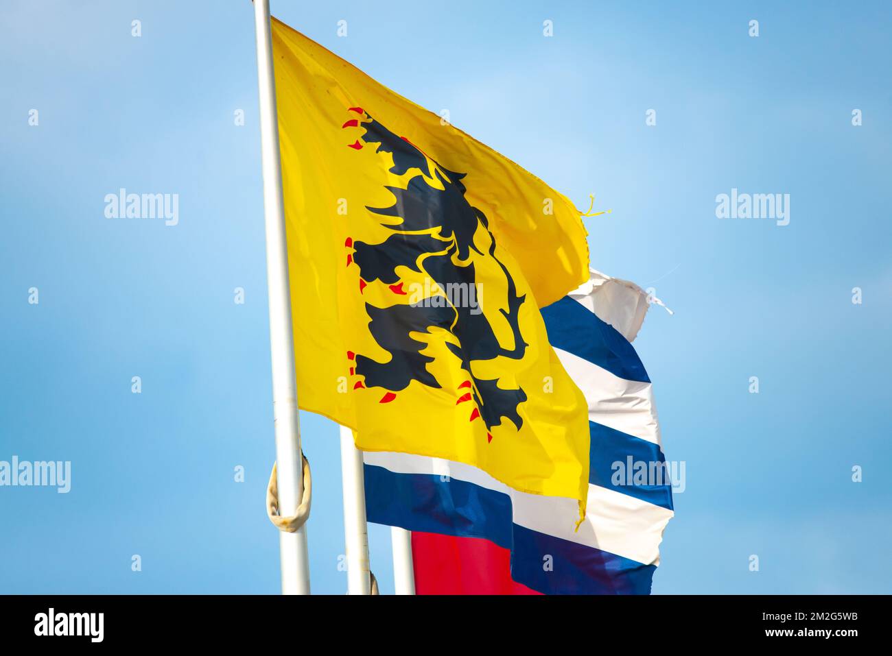 Flag of French Flanders. | Drapeau des Flandres française 05/05/2016 ...