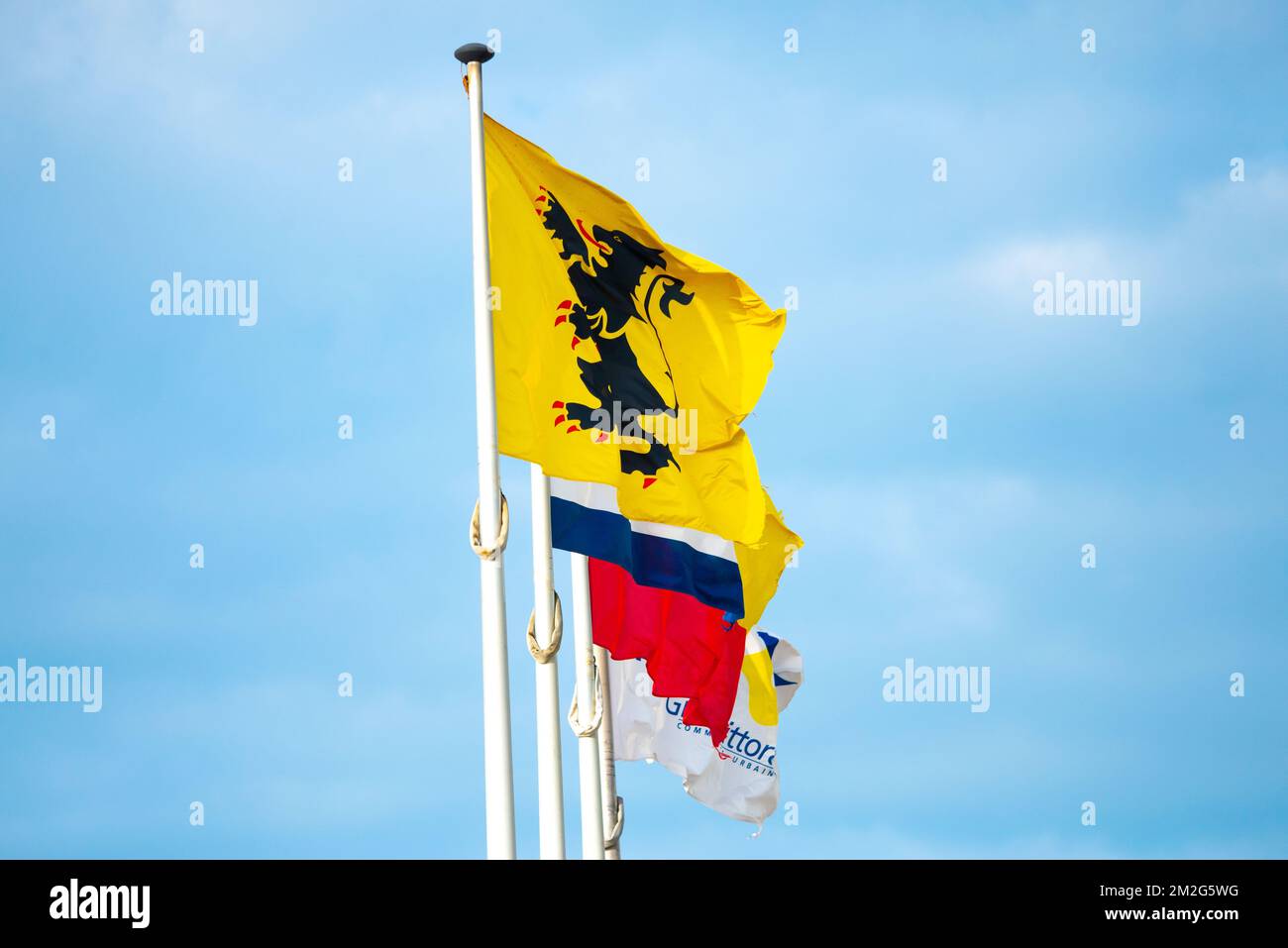Drapeau lion hi-res stock photography and images - Alamy