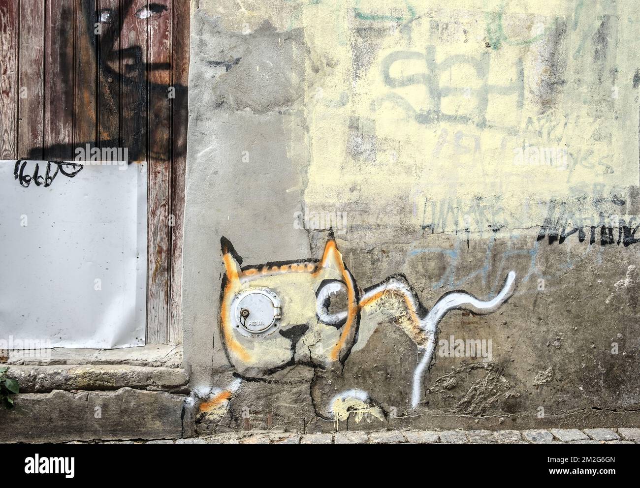 Photo d'illustration - Illustration picture Ordinary cats or domestic ...