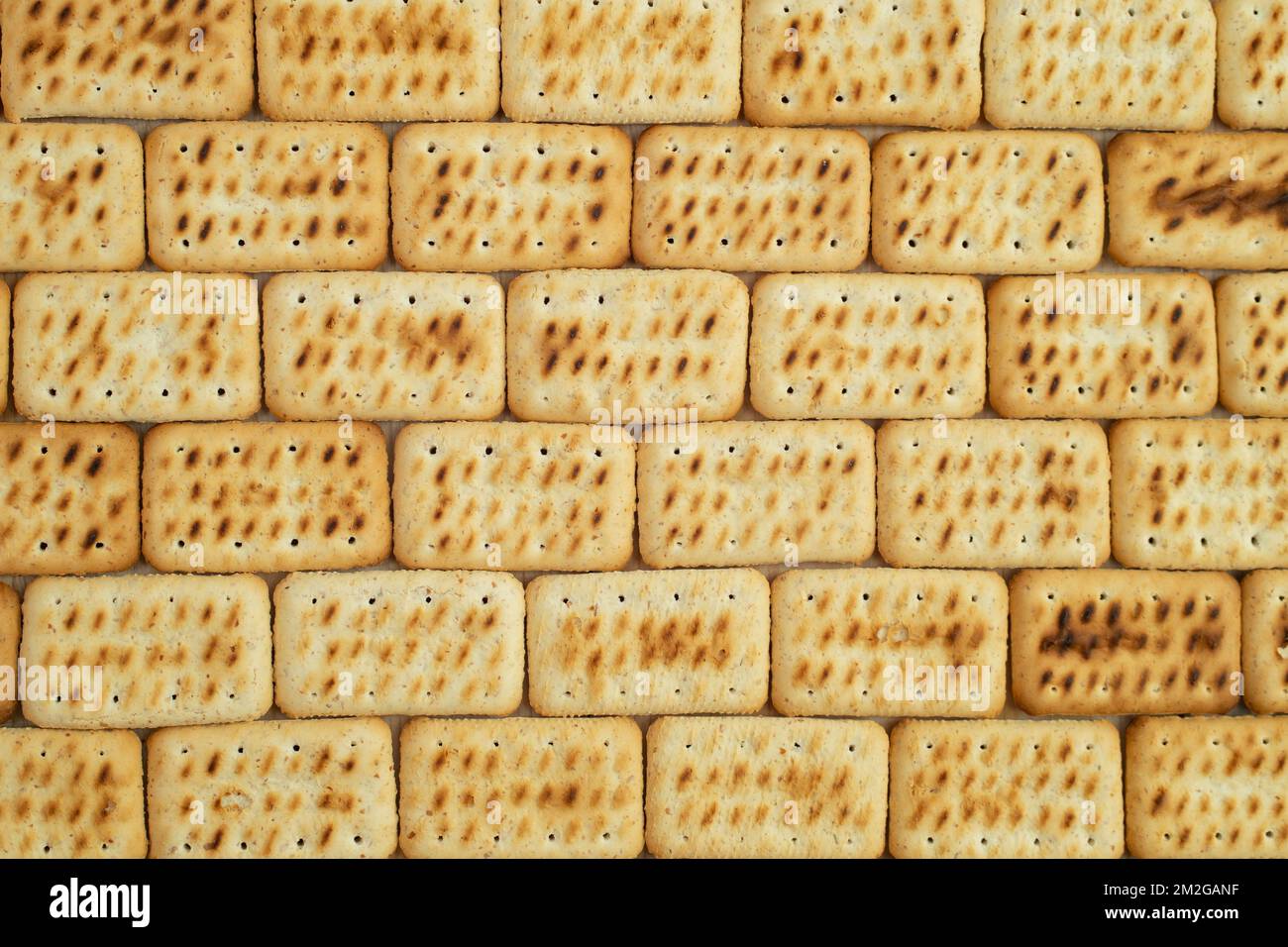 dried biscuits arranged like wall bricks, seamless texture background ...