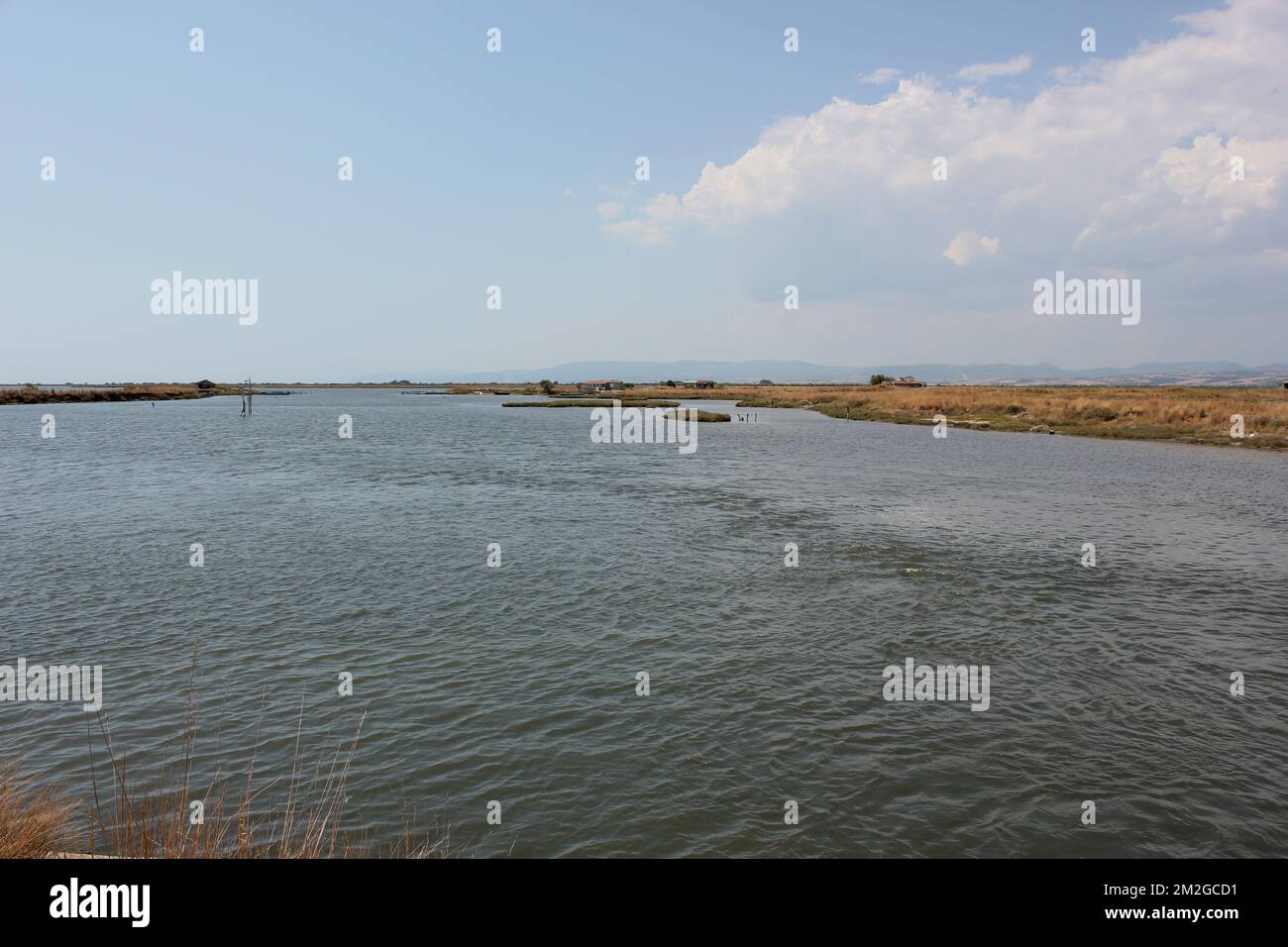 Delta Evros National Park, Evros Thraki Greece Stock Photo - Alamy