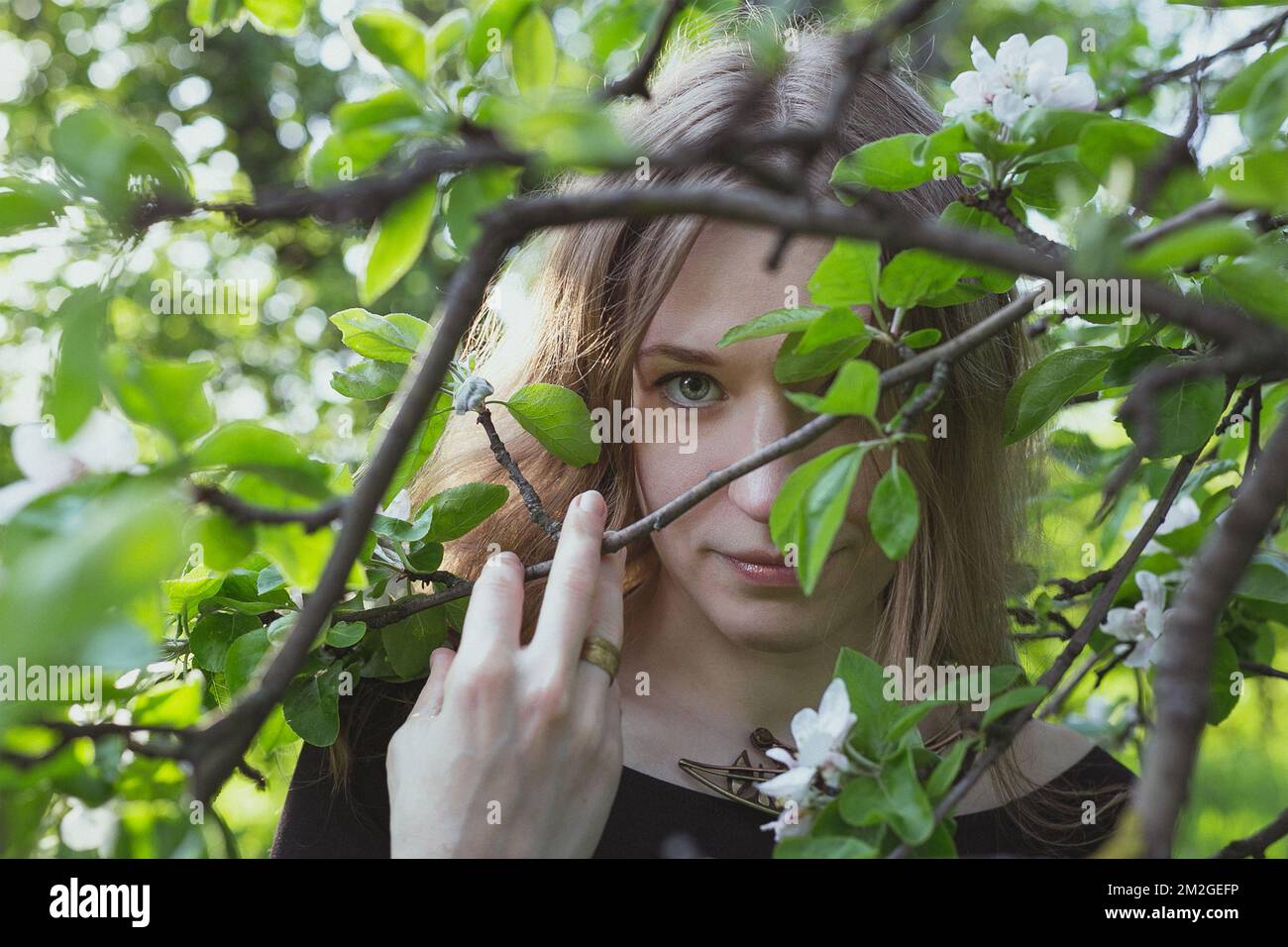 Close up woman looking through apple branches portrait picture Stock ...