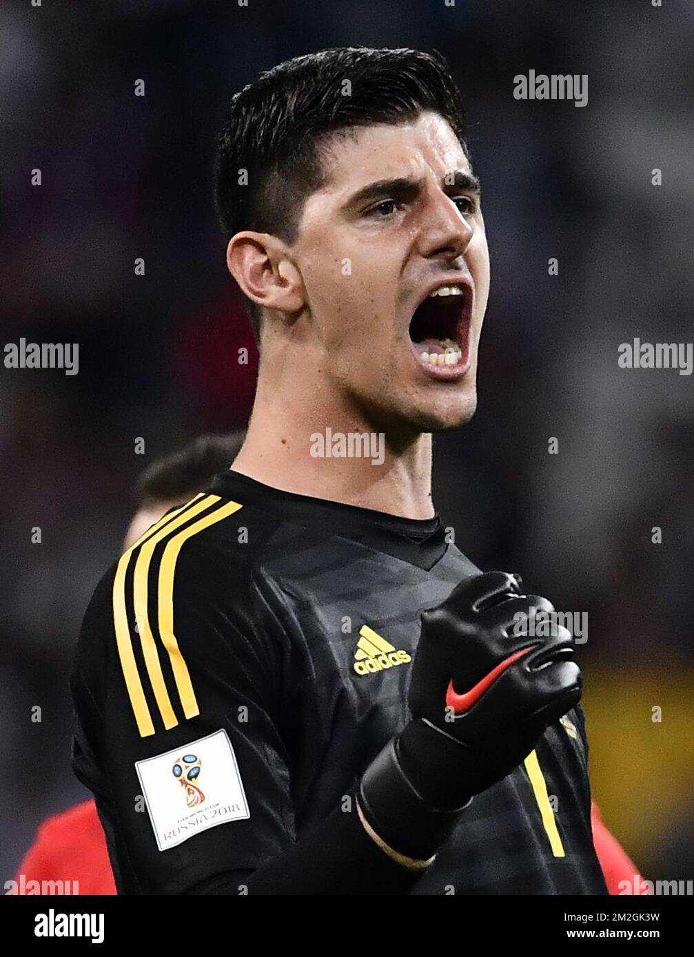 Belgium's goalkeeper Thibaut Courtois celebrates after winning a soccer ...