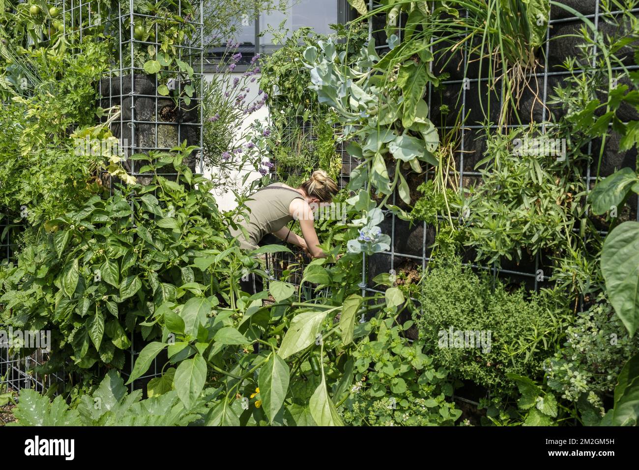 Toit ouvert hi-res stock photography and images - Alamy