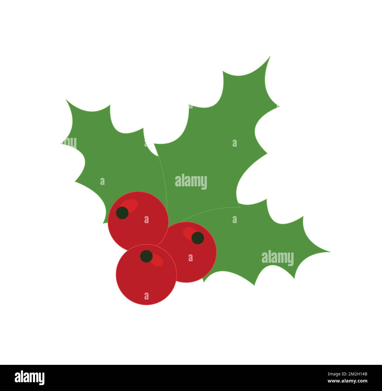 Christmas holly vector art icon isolated on white background Stock ...