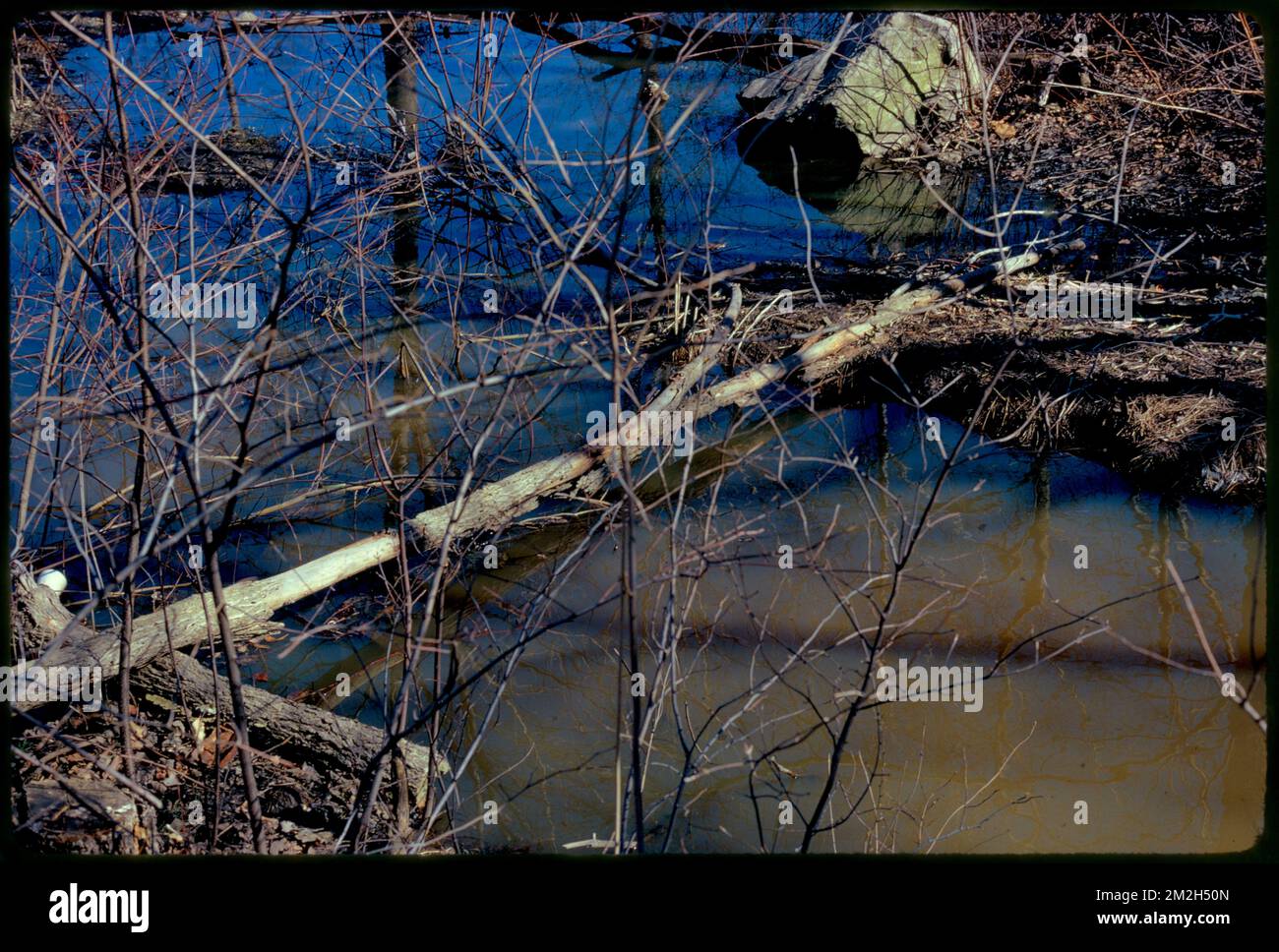 Dirty open drain enters river above Falls from Newton , Rivers ...