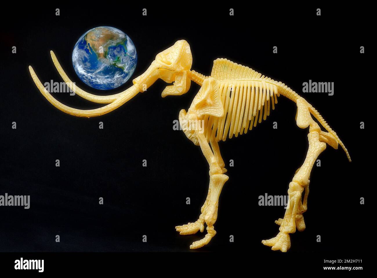 The extinct animal mammoth | Le mammouth animal disparu 25/07/2018 ...