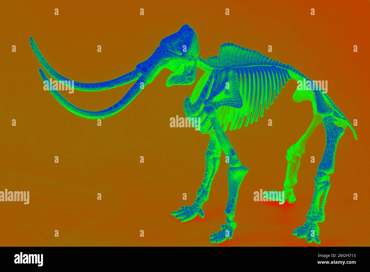 The extinct animal mammoth | Le mammouth animal disparu 24/07/2018 ...