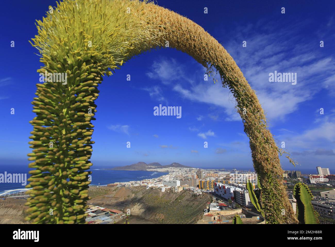 îles canaries espagne hi-res stock photography and images - Alamy