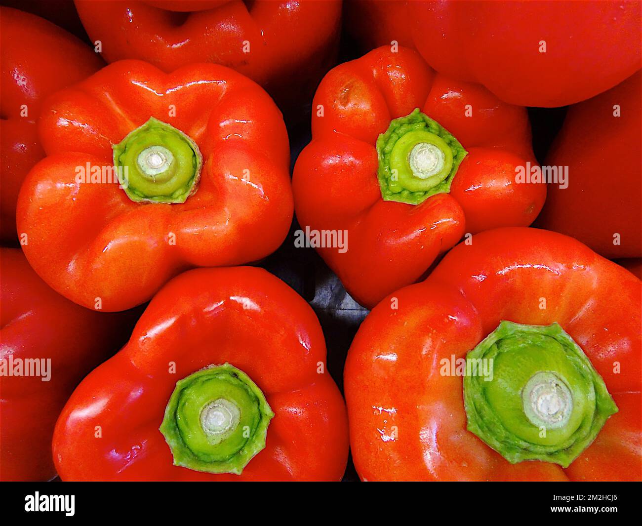 Poivrons rouge hi-res stock photography and images - Alamy