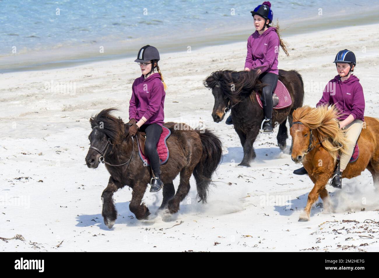 Ponies running on beach hi-res stock photography and images - Alamy