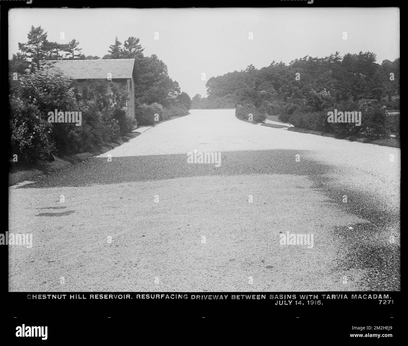 Distribution Department, Chestnut Hill Reservoir, resurfacing driveway ...