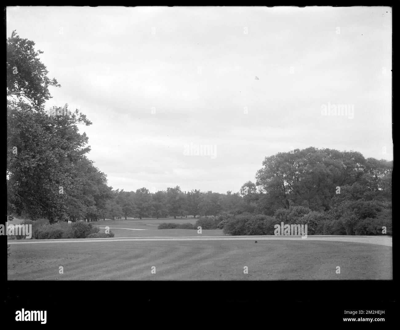 Distribution Department, Chestnut Hill Reservoir, work on English Elm ...