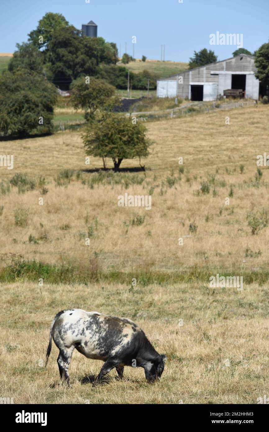 Saison agricole hi-res stock photography and images - Alamy