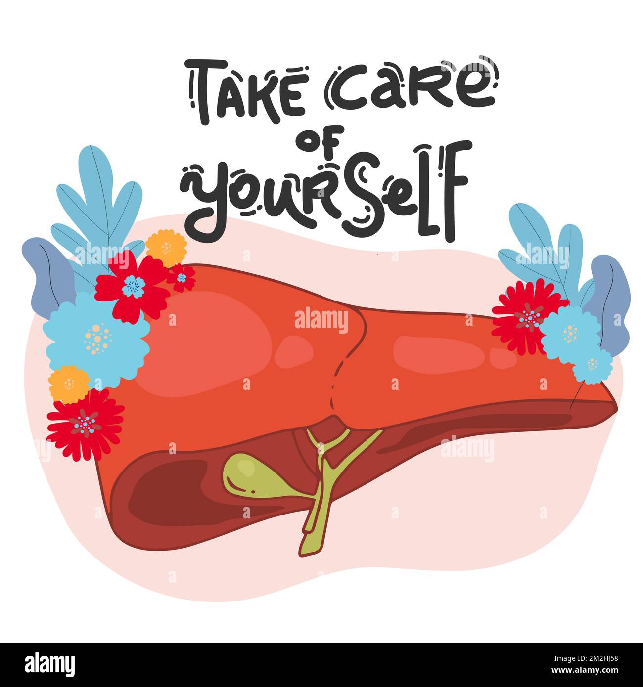 Realistic liver anatomy structure. Vector hepatic system organ ...